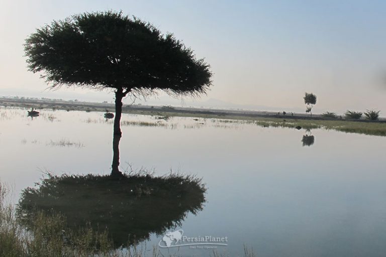 Azini Estuary, Khor, Khur – Iran Travel Information