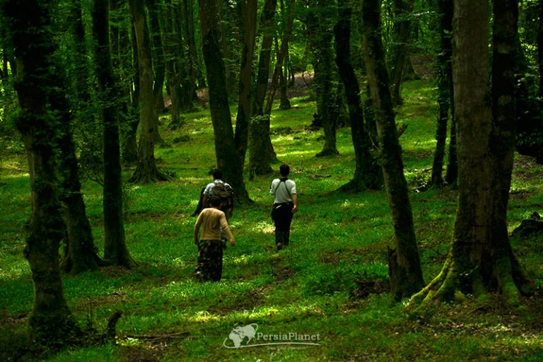 Baliran Forest and Garou Spa – Iran Travel Information