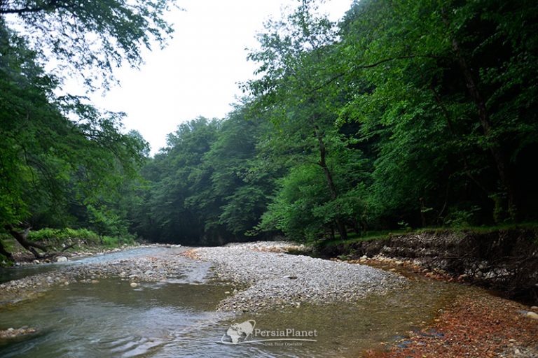 Baliran Forest and Garou Spa – Iran Travel Information