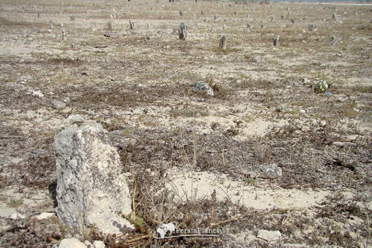 Lavan Island – Iran Travel Information