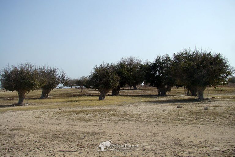 Lavan Island – Iran Travel Information