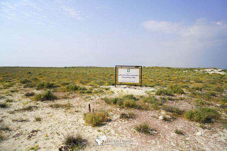 Maroo Island, Maro, Shidvar – Iran Travel Information