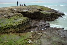 Qeshm Island, Gheshm – Iran Travel Information