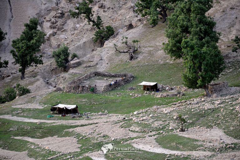 Bakhtiari Nomads, Bakhtiary – Iran Travel Information