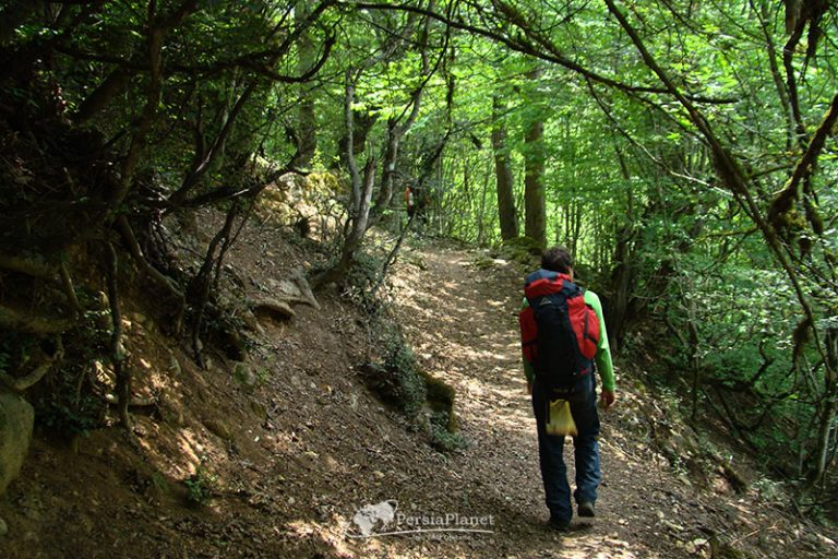 Kojur Sisangan forest trekking, Kojor, Kojoor – Iran Travel Information