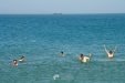 Larak Island, Laarak, Lark – Iran Travel Information